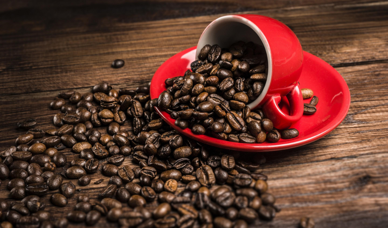 Java Dawg Coffee | Sarasota Florida - Java Dawg Coffee